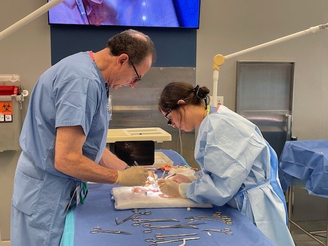 Partnership in World Class Surgical Training